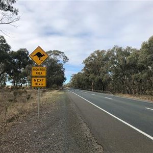 Understanding Australian Road Signs: A Comprehensive Guide | LicencePro